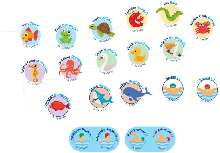 Learn to Swim: Dive into Confidence